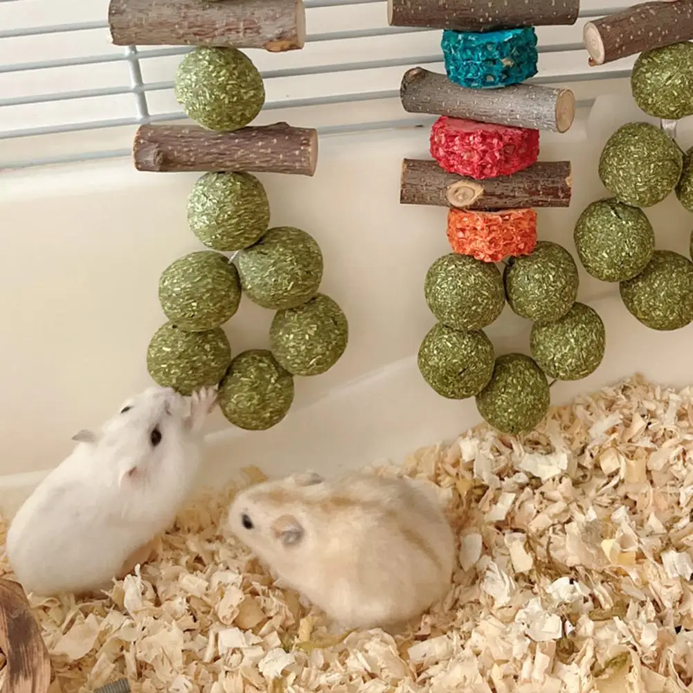 Durable-Hamster-Chew-Toy-Rabbits-Bunny-Chew-Toys-Molar-Rod-Teeth ...