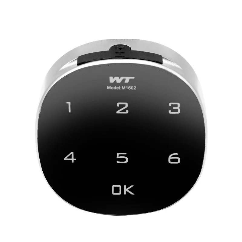 Fingerprint-cabinet-door-anti-theft-wardrobe-Wooden-shoe-cabinet-drawer ...