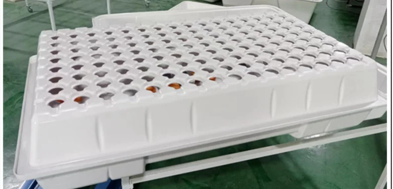 128 well planting tray| | - AliExpress