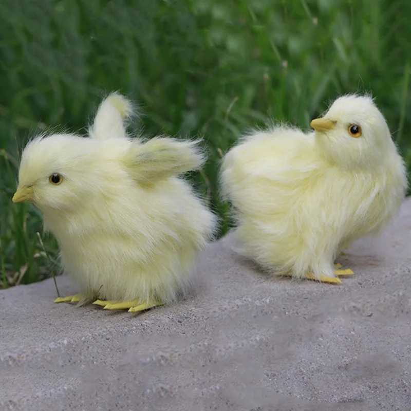 Shop1103557076 Store