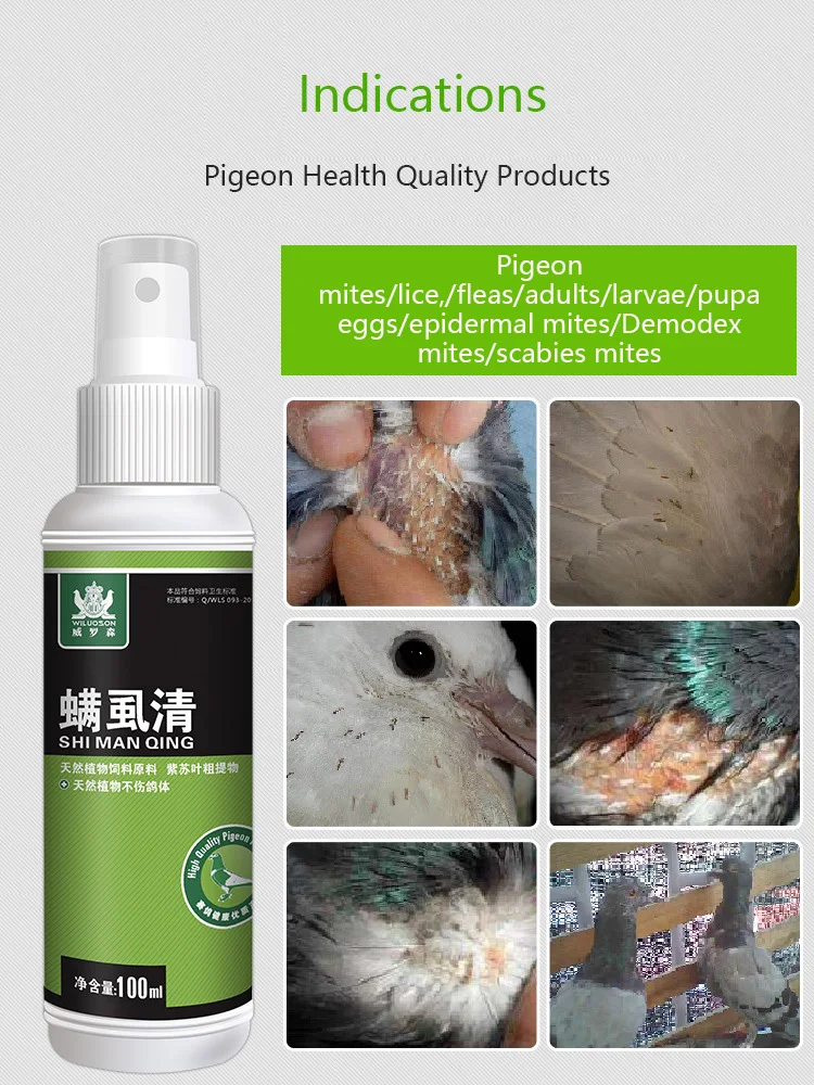 Pigeon Parrot Bird Use To Remove Feather Lice and Blood Mites in Vitro ...