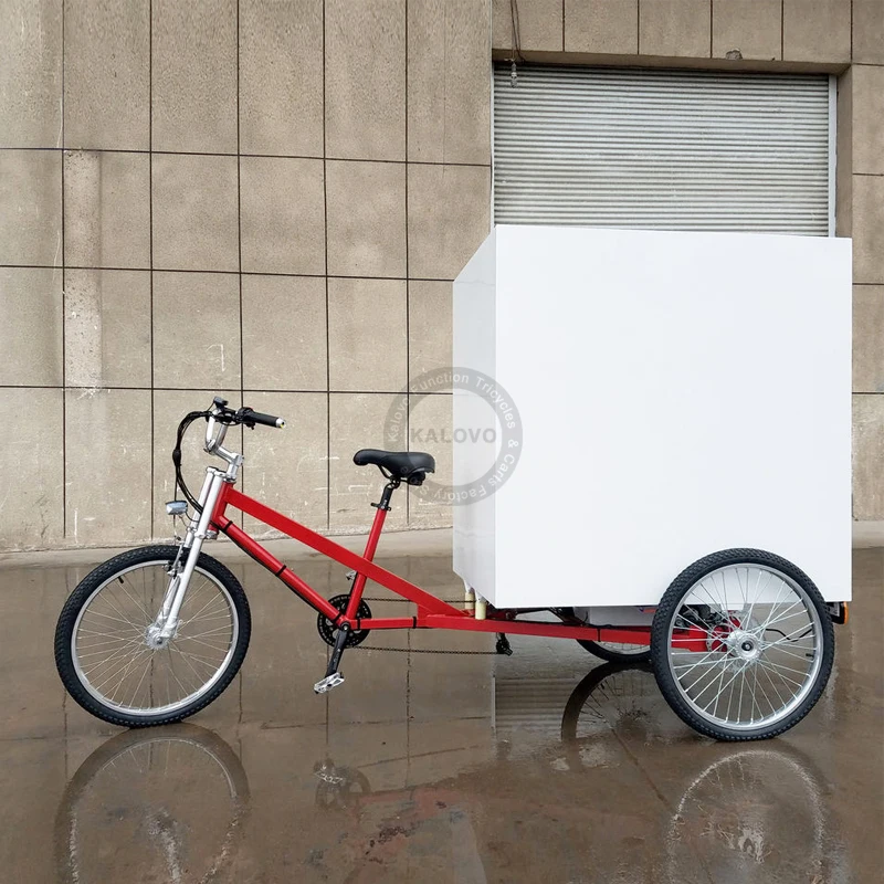 8-Speed-Trike-3-Wheel-Tricycle-Adult-Cargo-Delivery-Bike-With-Big-Cargo ...