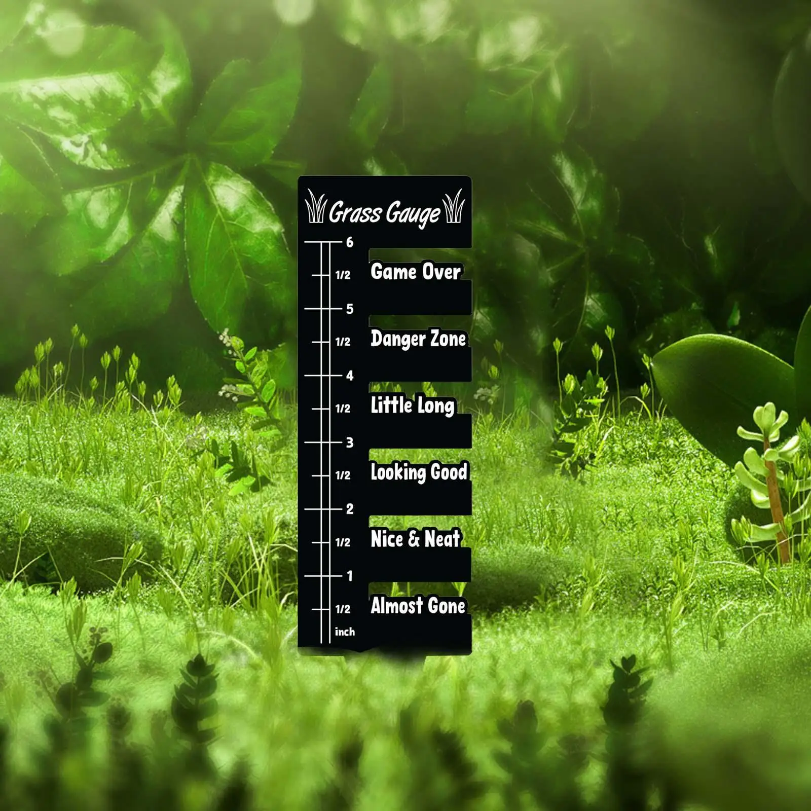 Grass-Gauge-Novelty-Lawn-Measuring-Ruler-Tool-for-Lawn-Garden ...