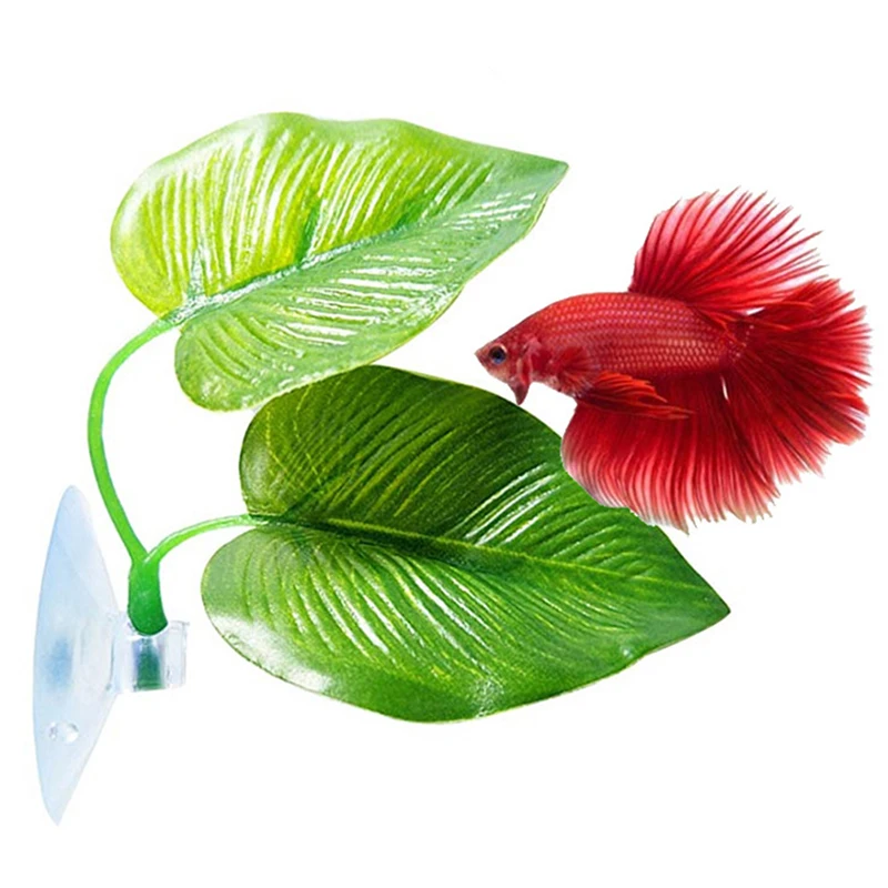 Betta-Fish-Rest-Aquarium-Leaf-Plants-Decoration-Spawning-Ornamental ...