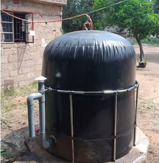 custom Small Home Biogas Digester System Plant Convert Household Food ...