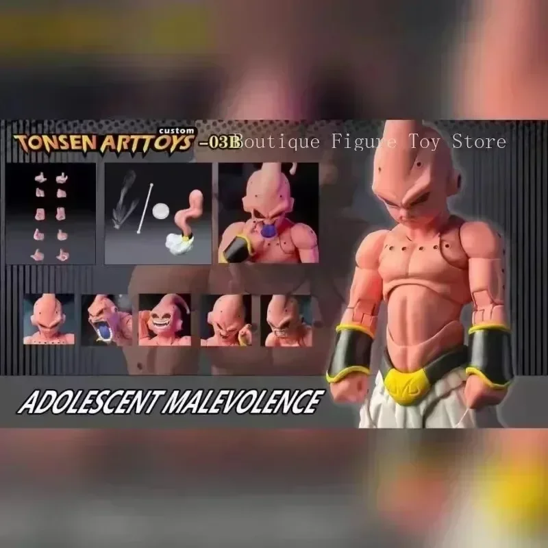 Tonsenarttoys-Dragon-Ball-S-H-Figuarts-SHF-Adolescente-Malevolence ...
