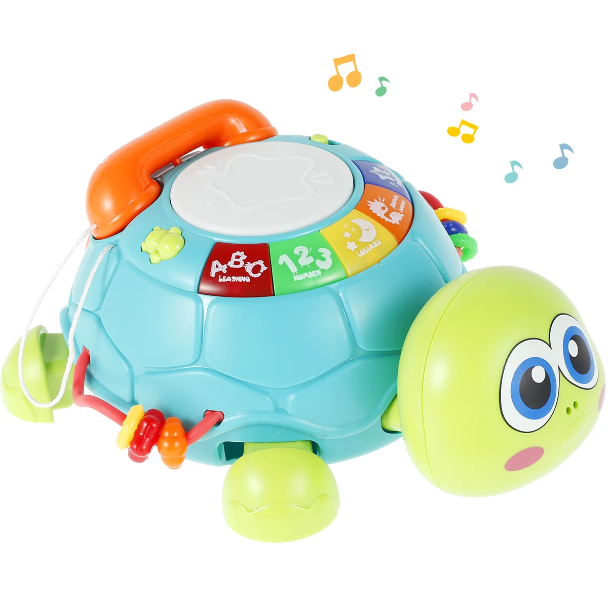 Animated Baby Turtle