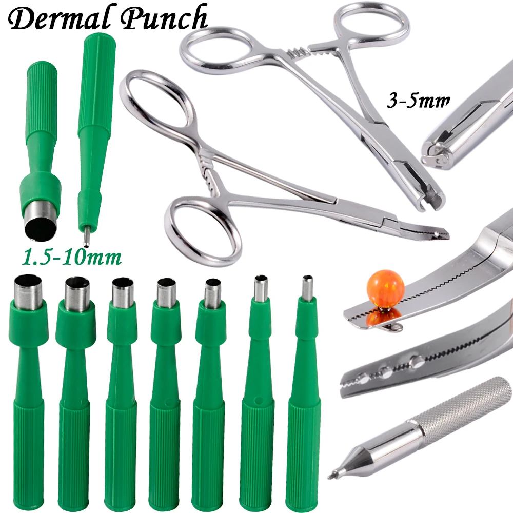 1PC Disposable Biopsy Dermal Punch For Skin Dermal Anchor Holding Tube ...