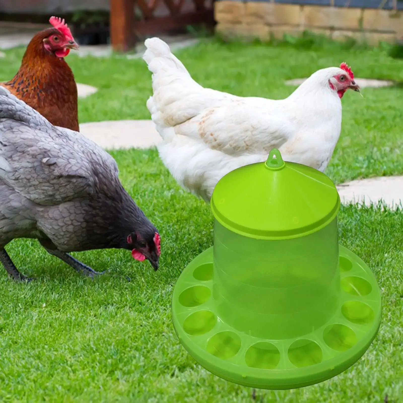 Chicken Feeder Waterer Food Dispenser Barrel Farming Tools feed Bucket ...