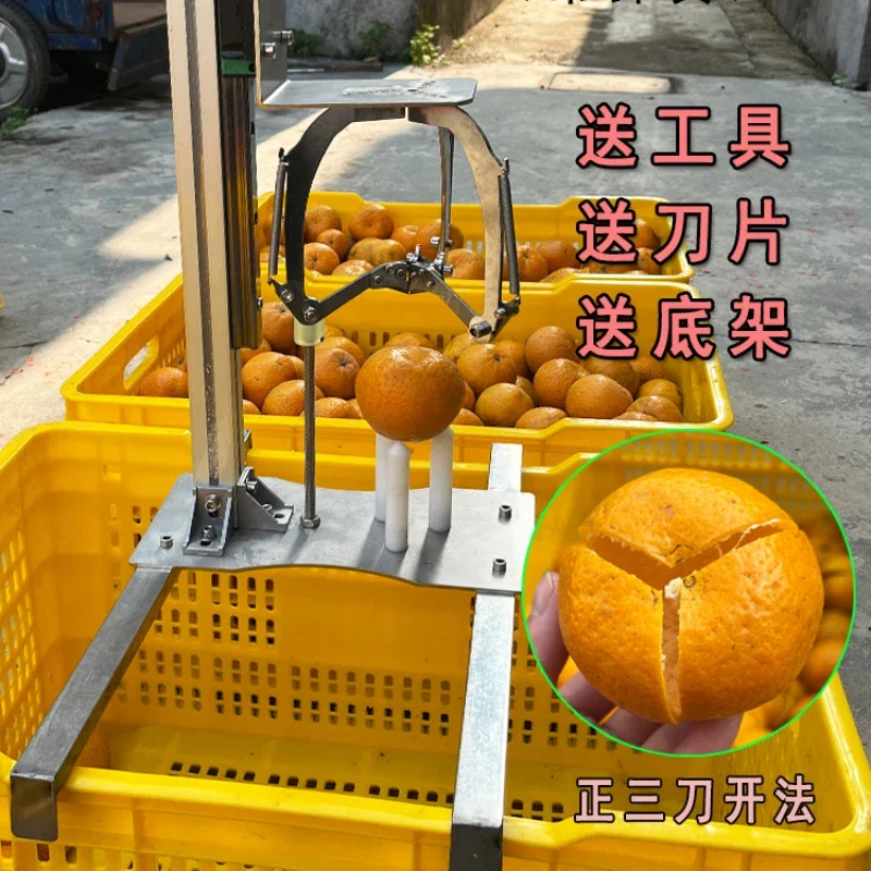 Xinhui orange peeling machine tangerine peel citrus small green with ...
