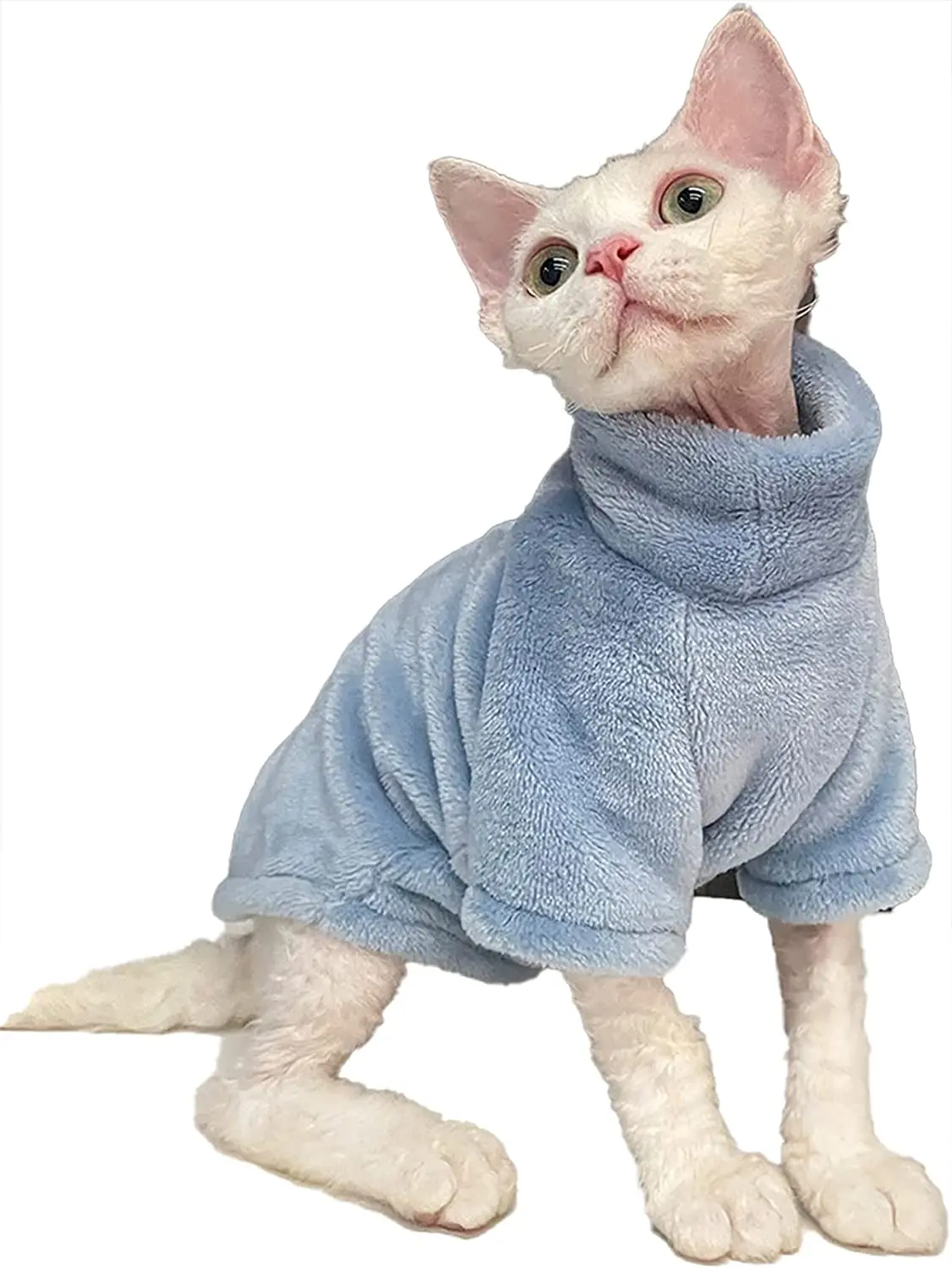 Cats Wearing Sweaters