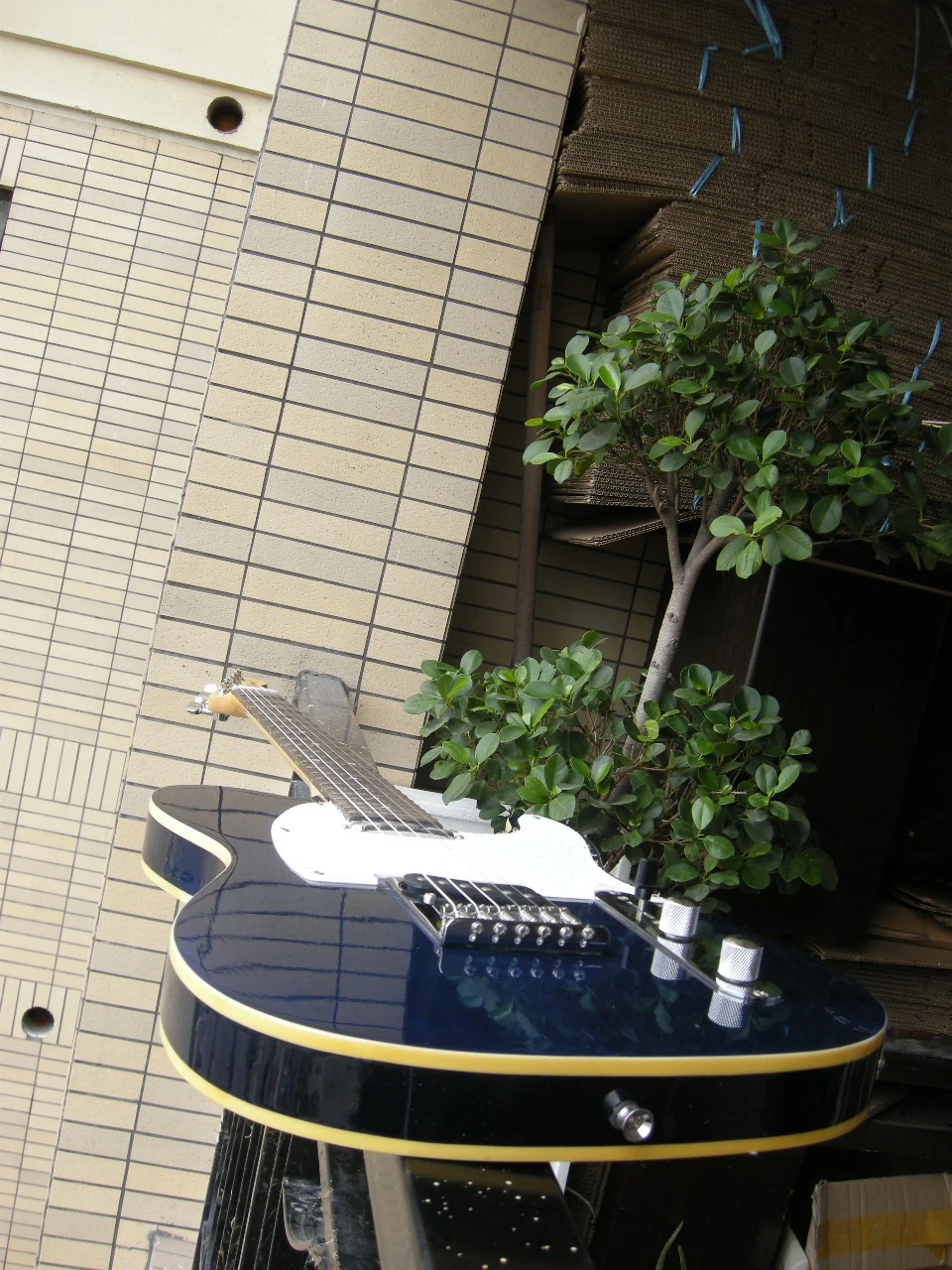 Factory-custom-New-dark-blue-tele-caster-with-white-binding-tl-Electric ...