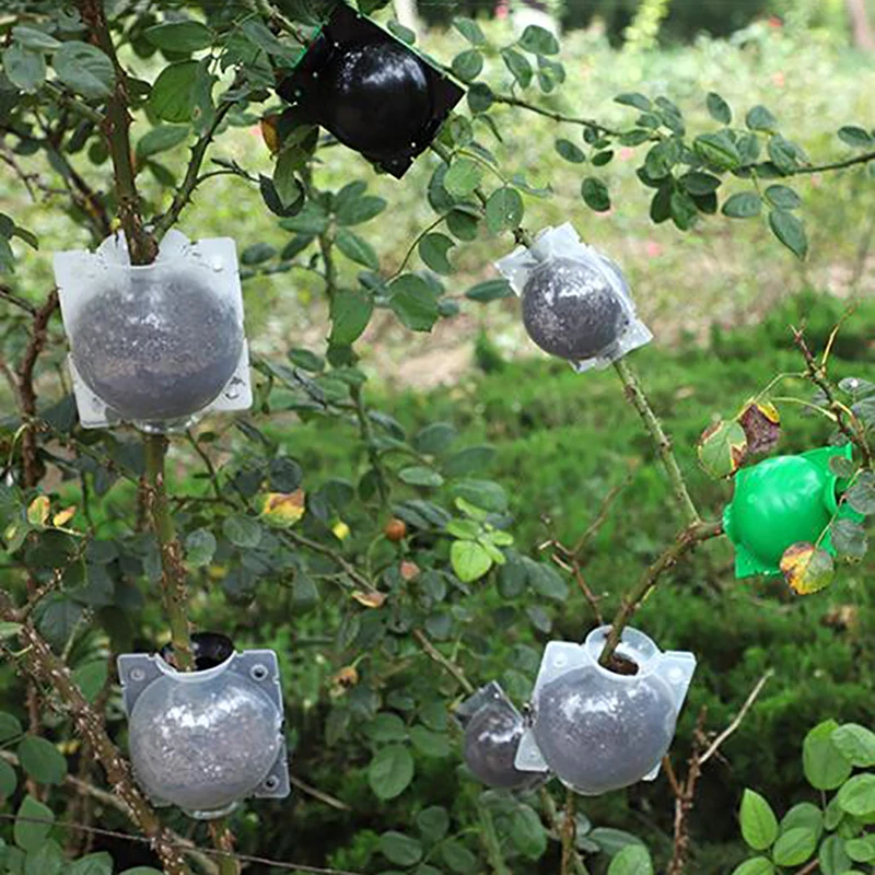 1PC-Grafting-Tool-Rooting-Ball-Box-Reusable-High-Pressure-Tree-Rooter ...