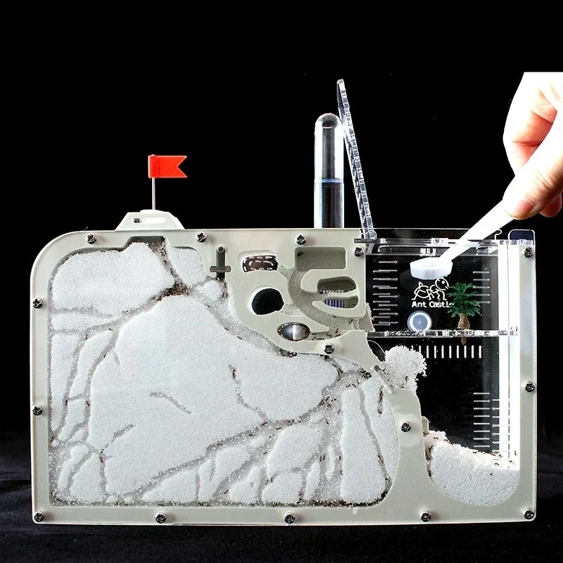 Ant-Castle-with-Water-Tower-Ants-Habitat-Observing-Kit-Empire-Workshop ...