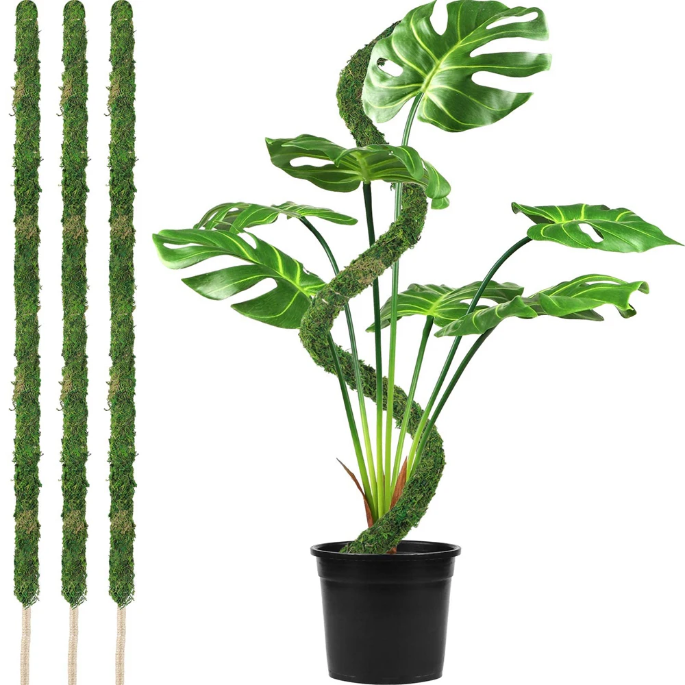 Tuteur - lien - attache,Poteau pliable en mousse pour plantes Monstera ...