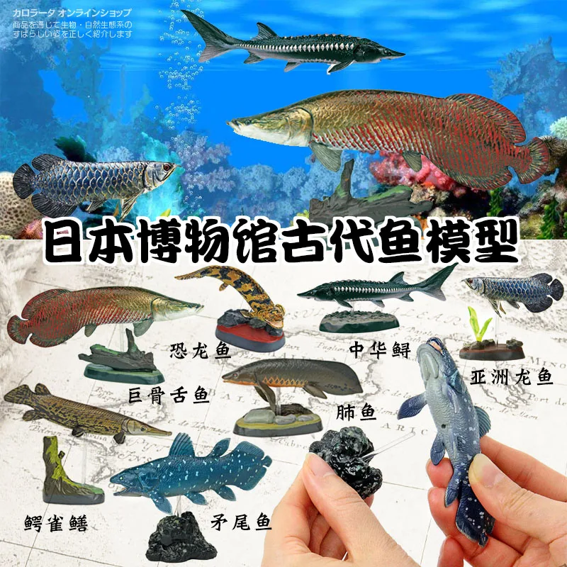Original Japan Colorata Ancient Fish Museum Marine Organism Models ...
