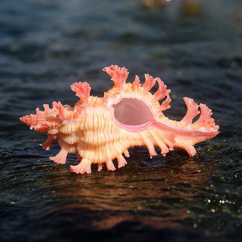 Página principal Productos Comentarios