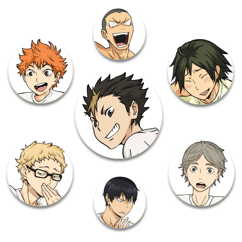 Anime-haikyuu-Figuras-de-Broche-de-Bot-o-Macio-Emblema-Criativo ...