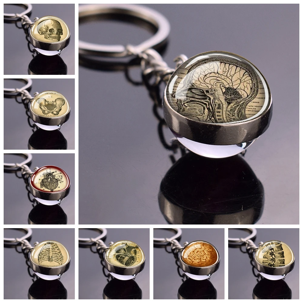 Human-Organs-Keychains-Brain-Skull-Anatomical-Heart-Glass-Ball-Keyring ...