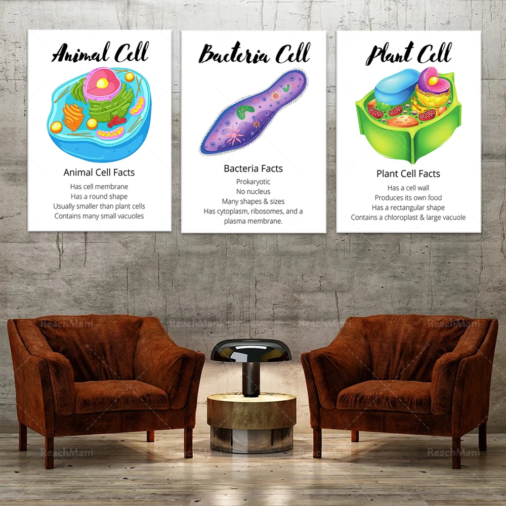 Science Art Cells
