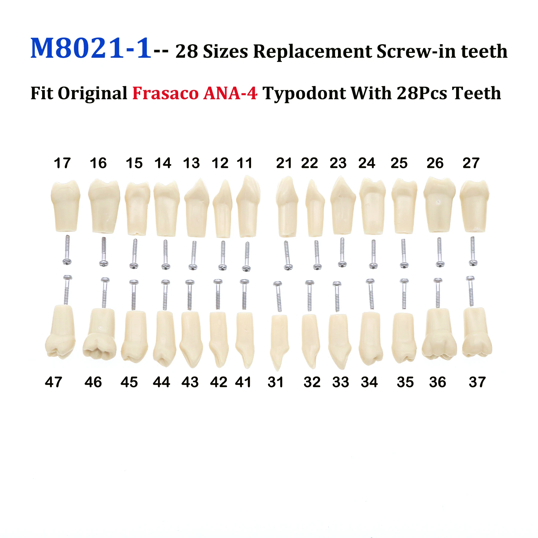 Sd67795178ed24953bdaddbad8697a731V.jpg