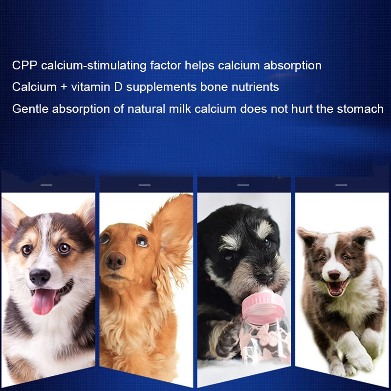 What Does Calcium Do For Dogs