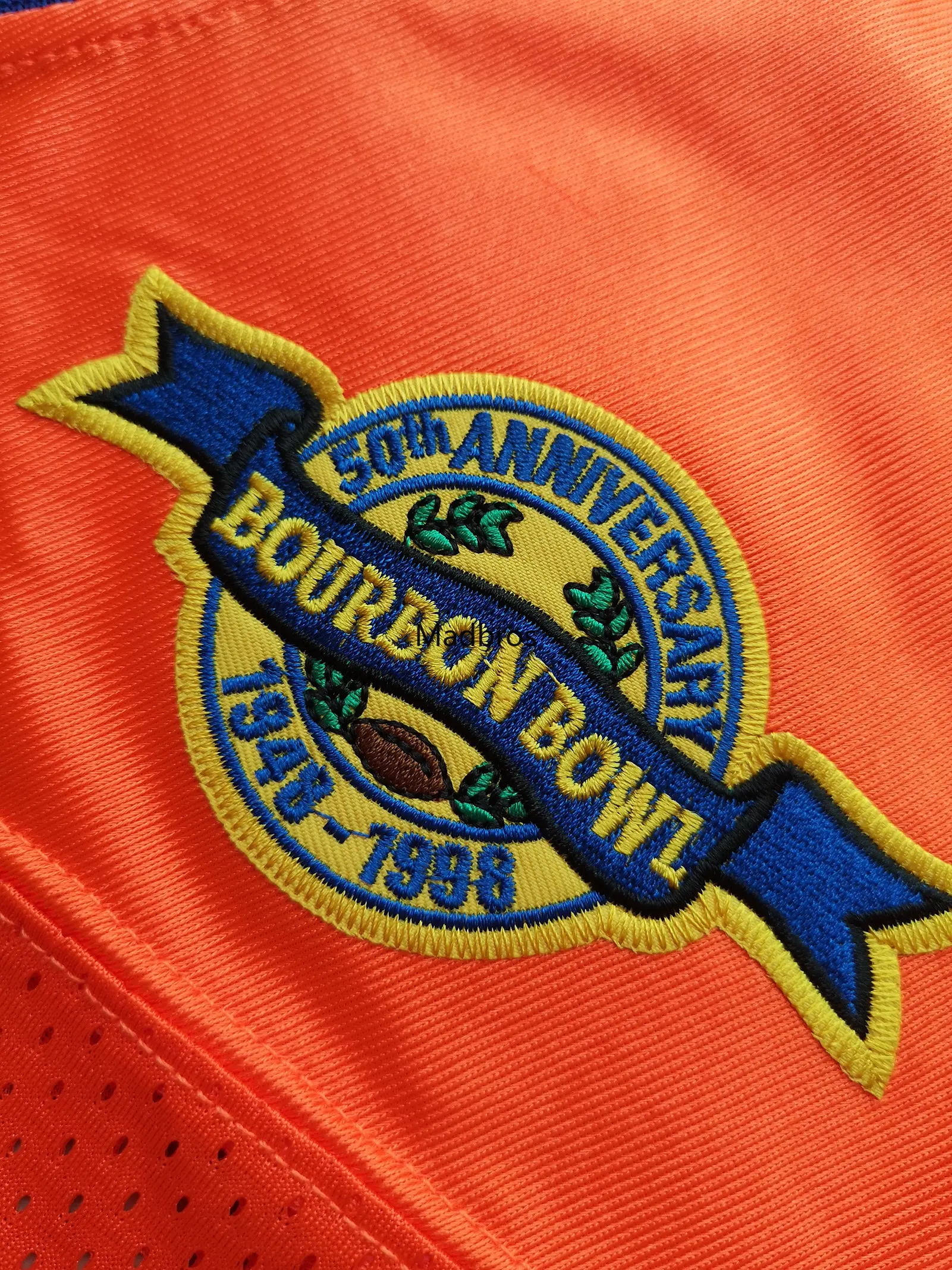 Waterboy Mud Dogs Logo