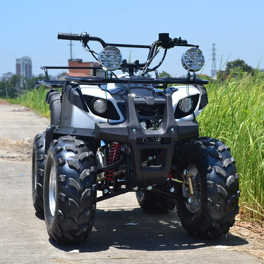 All-terrain-Four-wheel-Beach-Buggy-125cc-110cc-AUTO-2-4-Mountain-ATV ...