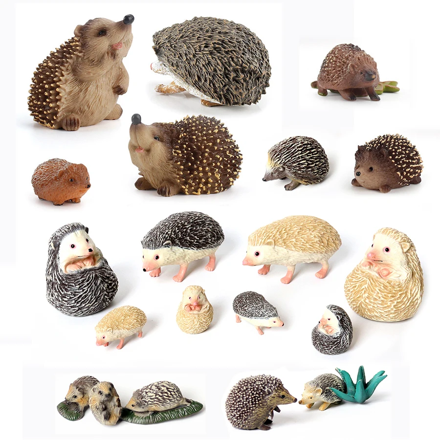 Hedgehog Toys For Hedgehogs