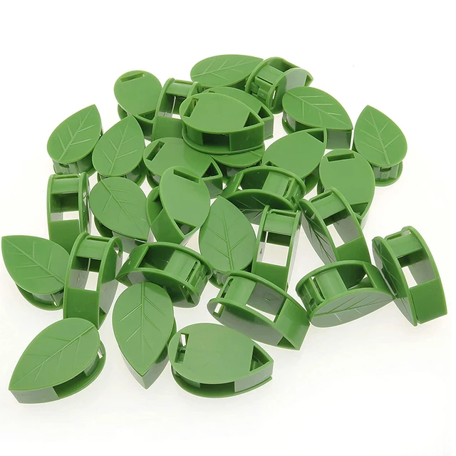 Invisible Plant Climbing Wall Fixture Rattan Vine Bracket Fixed Buckle ...