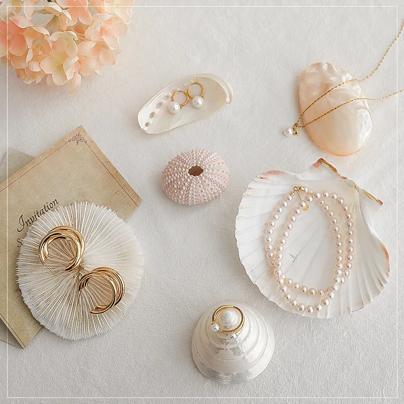 Jewelry Display Shooting Props | Scallop Conch Shell Jewelry | Shell ...
