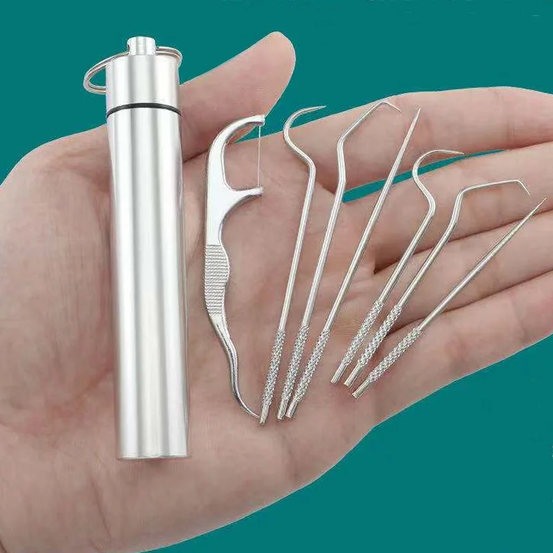 Stainless Steel Toothpick Set Tooth Flossing Reusable Toothpicks ...