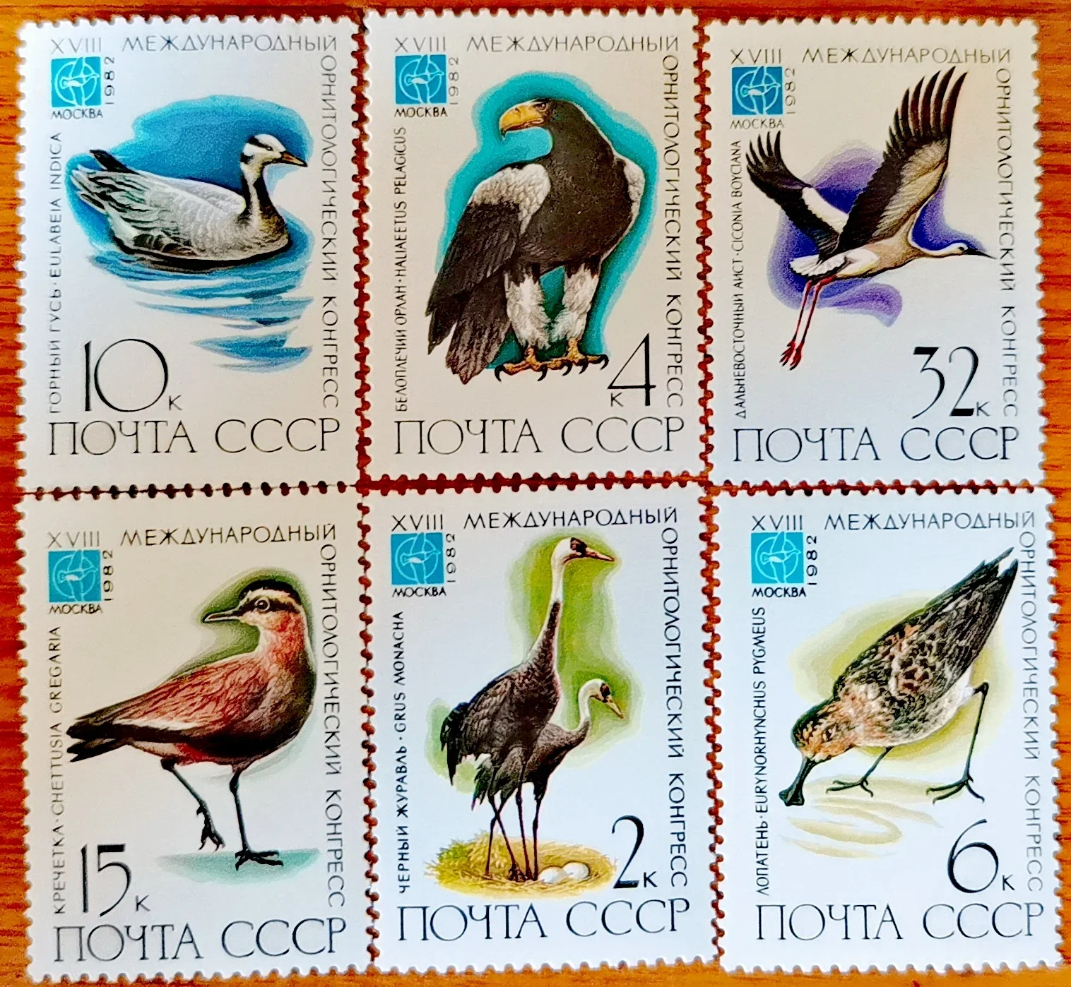 6Pcs/Set New USSR CCCP Post Stamp 1982 Rare Birds Stamps MNH ...
