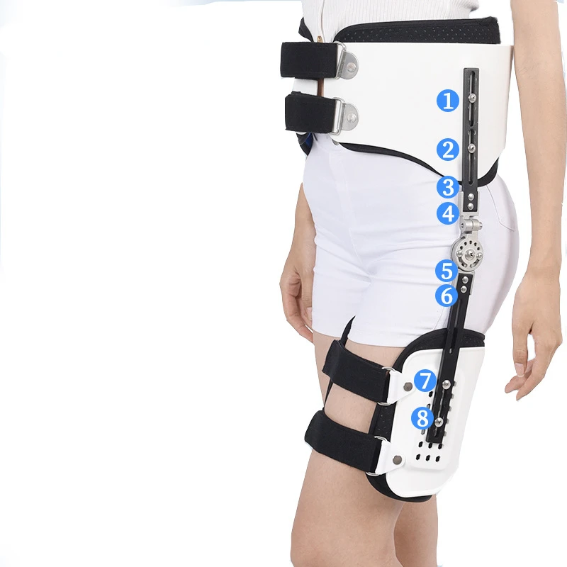 Lower Extremity Knee Meniscus Thigh Femoral Head Fracture Surgery ...