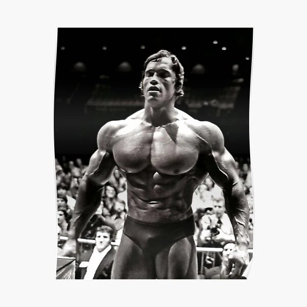 Arnold Schwarzenegger Poster