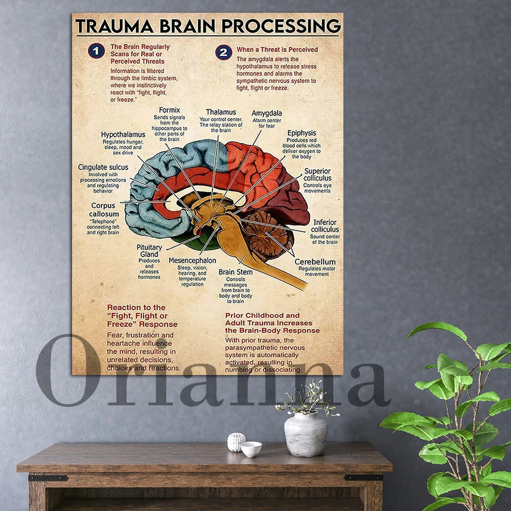 Trauma Brain Processing Mental Health Vintage Wall Art Prints Poster ...