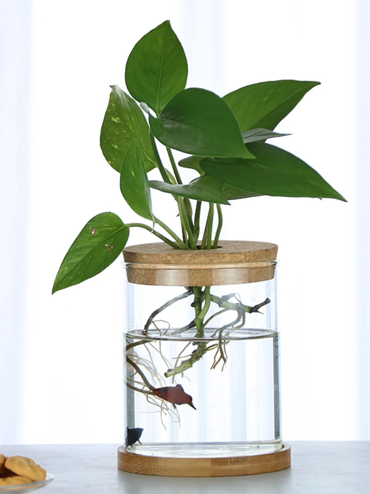 Hydroponic Vase Glass Vase Hydrophonic Plant Flowerpot Office Green ...