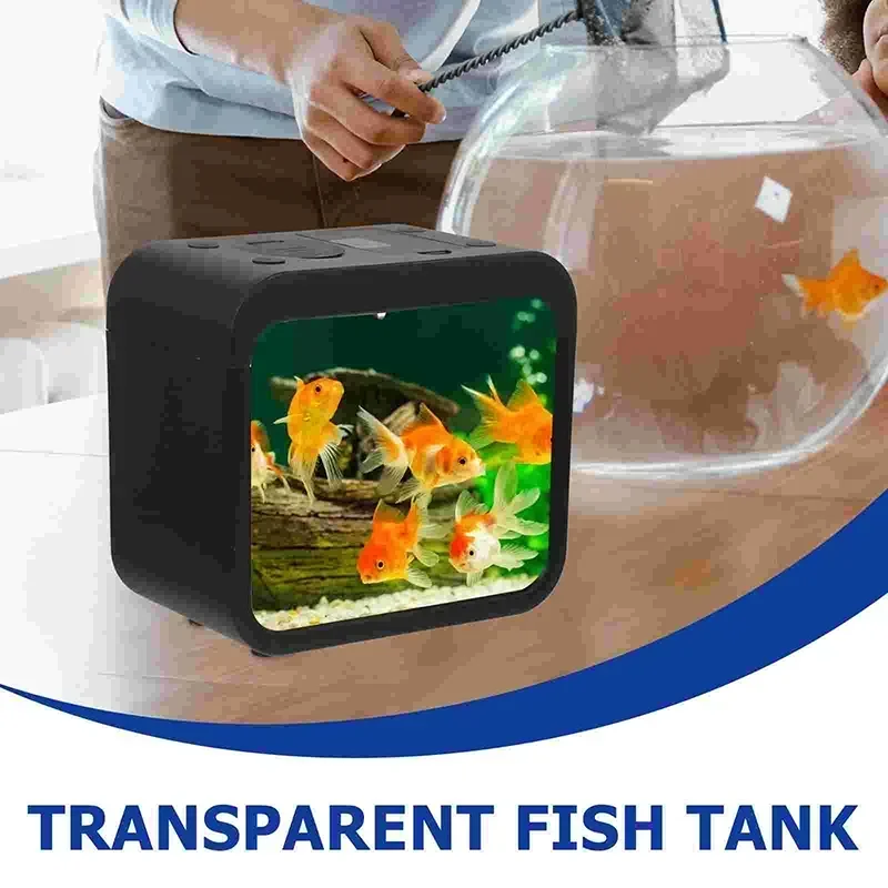 Creative-Square-Fish-Tank-Aquarium-Small-Pet-Fighting-Fish-Turtle ...