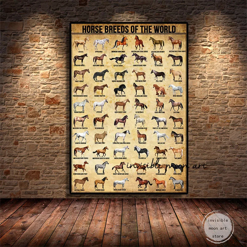 Vintage-Horse-Knowledge-Horse-Breeds-of-The-World-Aniaml-Art-Poster ...