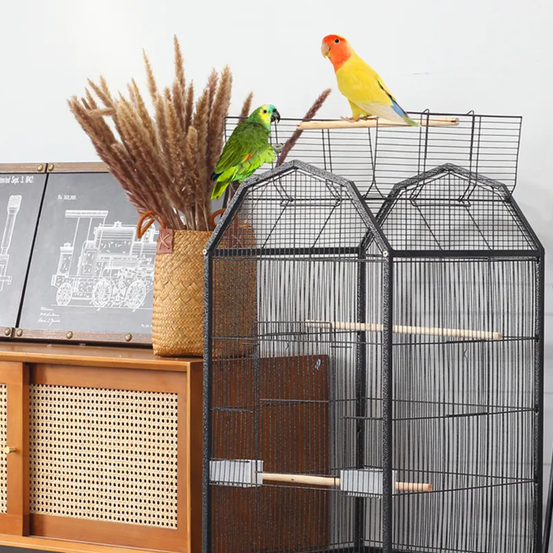 Conure Bird Cages