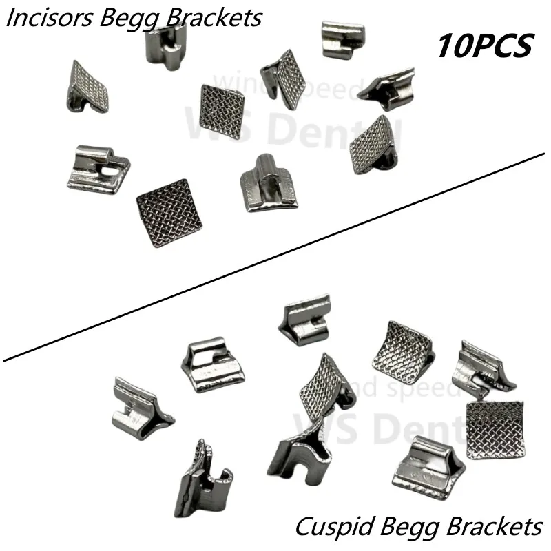 10PC-Dental-Orthodontic-Begg-Brackets-Archwire-Metal-Cuspid-Incisors ...