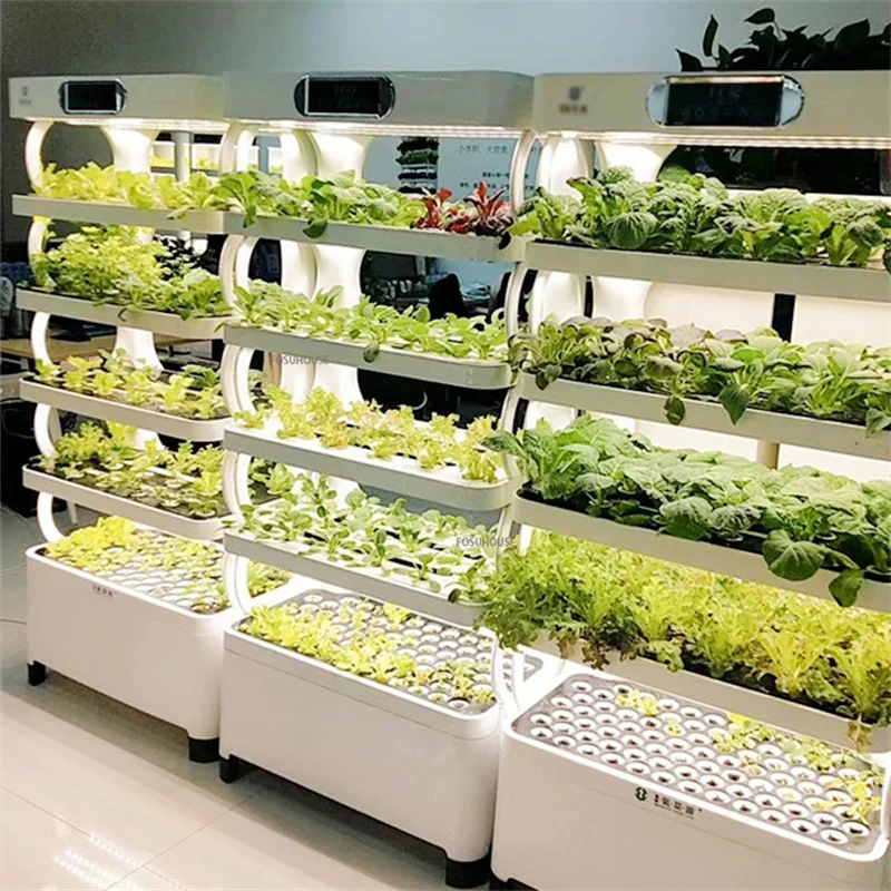 Hydroponics-Growing-System-Soilless-Cultivation-Vegetable-Planting ...