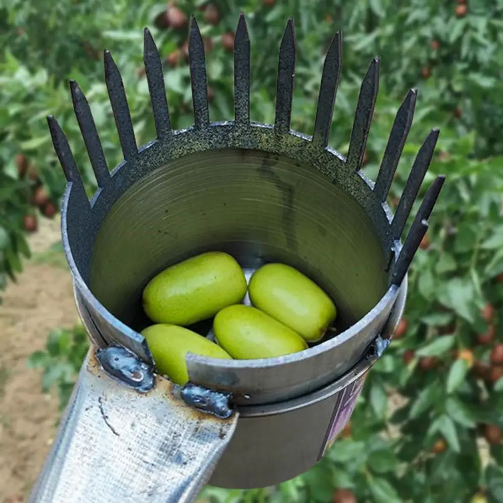 Safe Fruit Picker Ergonomic Fruit Picker Light-weight Metal Fruit ...