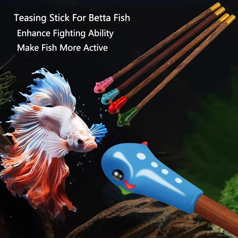 Aquarium Betta Training Wand Wooden Playing Stick Active Healthy Betta ...