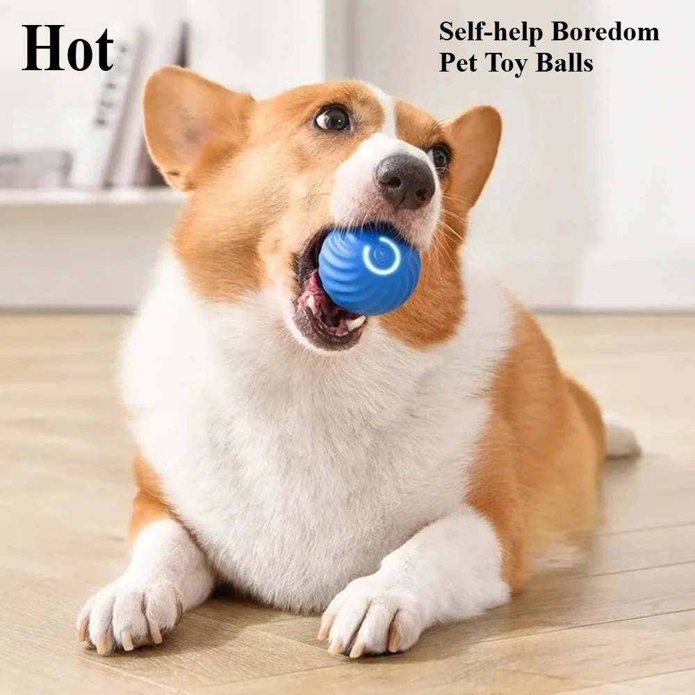 Smart-Dog-Toy-Ball-Electronic-Interactive-Pet-Toy-Activity-Ball-USB ...