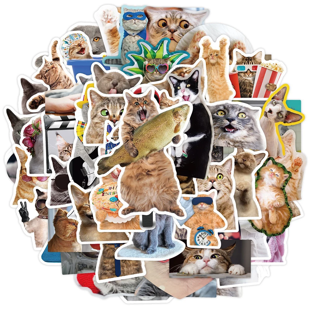 10-30-65pcs-Funny-Cute-Cat-Meme-Stickers-Kid-Toy-Scrapbook-Notebook ...