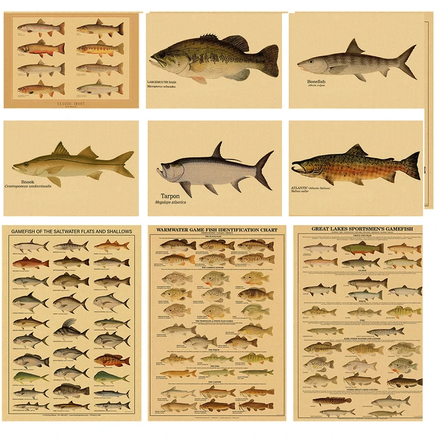 Saltwater Game Fish Art