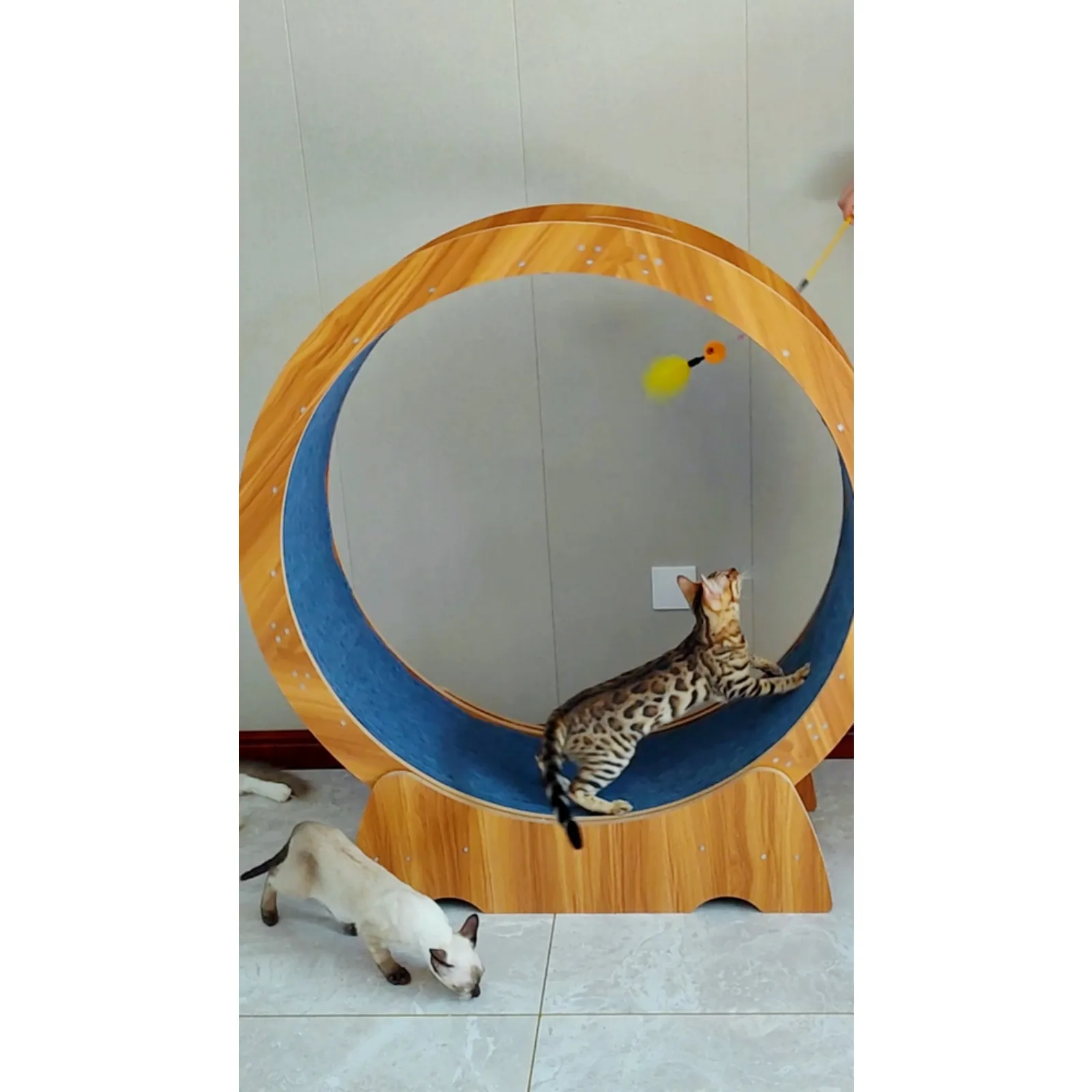 Cat Exercise Wheel Large Wooden/PVC Cat Treadmill Running Wheel Cat Toy ...