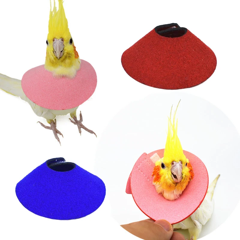 Parrot Collar Recovery Collar Anti-Biting Pecking Injury Elizabeth ...