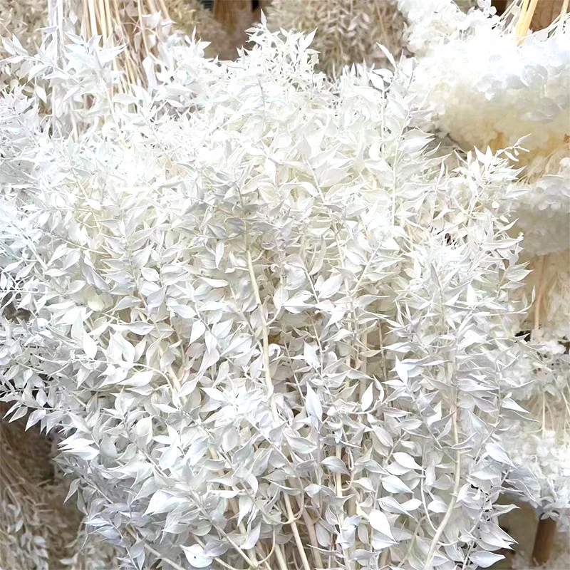 Dried-Ruscus-Preserved-Ruscus-For-Wedding-Home-Decor-DIY-Artificial ...